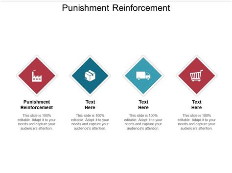 Punishment Reinforcement Ppt Powerpoint Presentation Styles Visuals Cpb