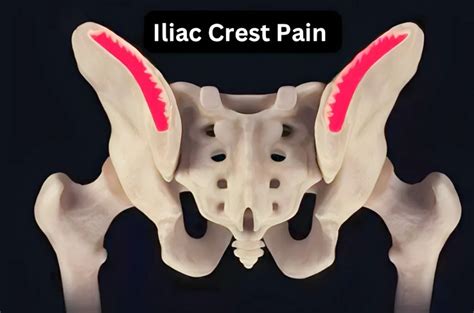 Ilium Pain Is My Lower Back Hip Pain From Sacroiliac Joint