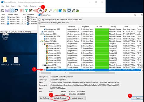 Lab Malware Analysis Security