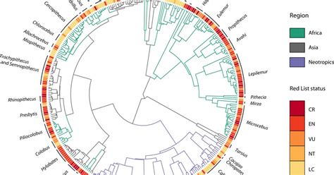 Phylogenetic Signal As A Predictor Of Extinction Risk In The Worlds