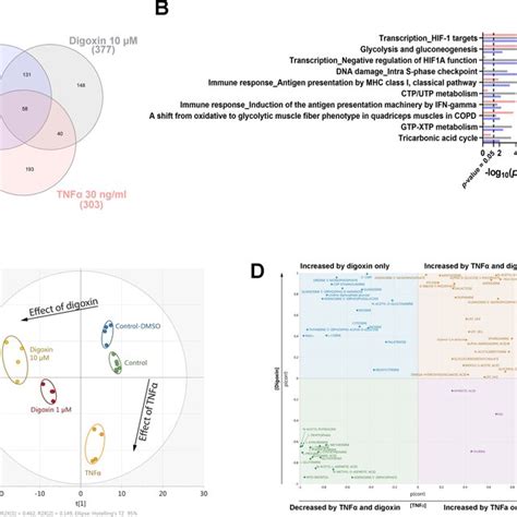 Proteomics And Metabolomics Profiling Of Human Astrocytes After Digoxin