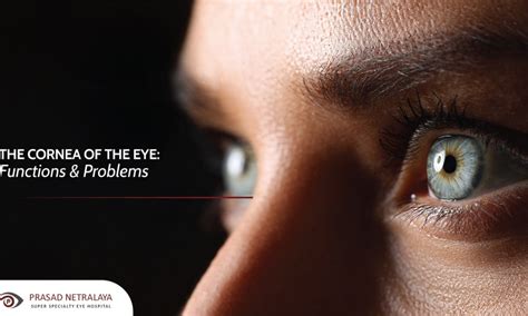 Cornea Function