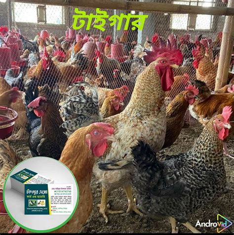 চাঁদপুর এগ্রো ফার্ম এন্ড হ্যাচারি