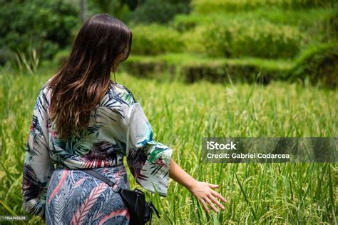 Красивая Женщина На Зеленых Рисовых Полях На Бали С Копией Пространства — стоковые фотографии и