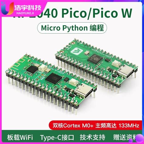 【現貨出售 關注立減】rp2040 pico開發板 樹莓派 rp2040 雙核芯片 mciro python編程 蝦皮購物