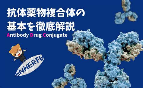 抗体薬物複合体（adc）の基本を徹底解説！