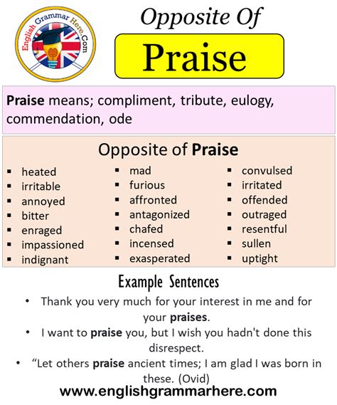 Opposite Of Praise Antonyms Of Praise Meaning And Example Sentences English Grammar Here