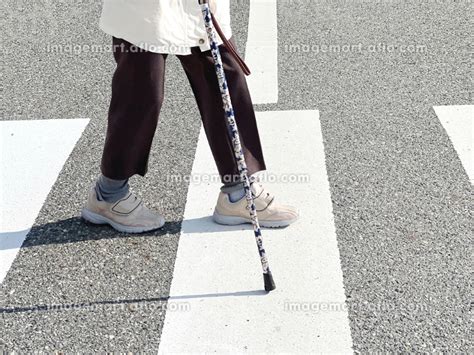 杖をついて横断歩道を渡る高齢者の足元の写真素材 208740305 イメージマート
