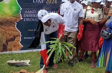 NNPC Foundation Sensitises Babes To Tree Planting