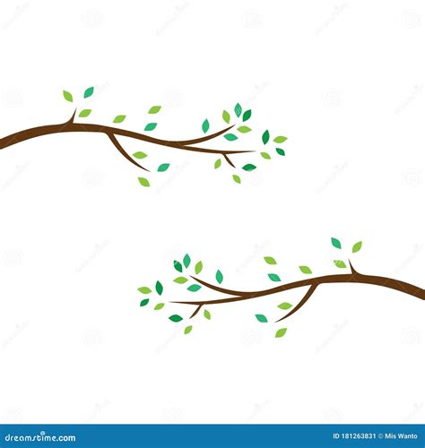 Vector Branch Hand Drawn Illustration Of Tree Branch Design Template Stock Vector