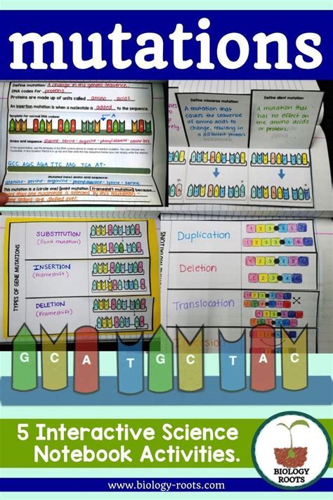 Mutations Interactive Notebook Activities Set Of 5 Activities That