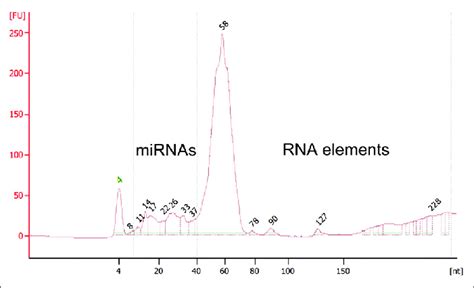 RNA Distribution In Human Spermatozoa RNAs In Sperm Which Include Download Scientific Diagram