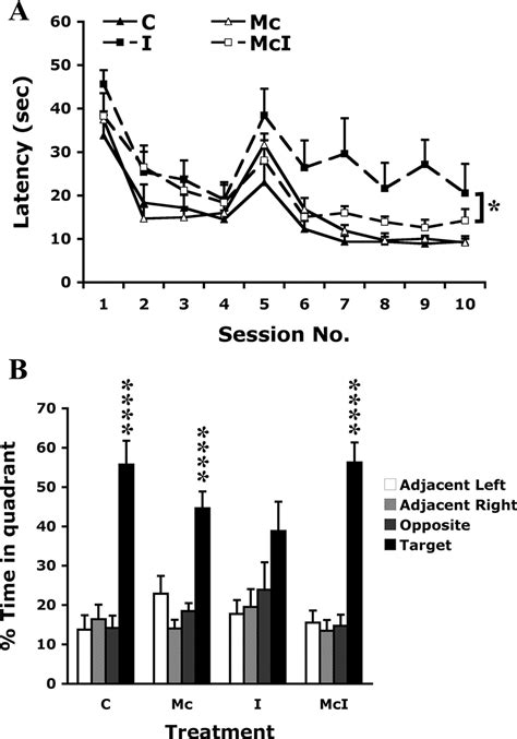 Chronic Treatment With Minocycline Preserves Adult New Neurons And