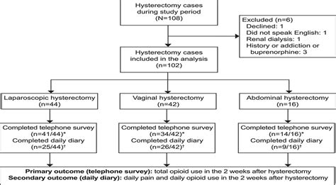 Opioid Prescribing Patterns Patient Use And Postoperative