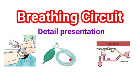 Breathing Circuit Detail Presentation Part 1 Anaesthesiawithbabar2576 Youtube