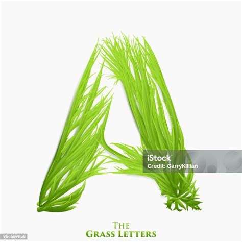 벡터 육즙 잔디 알파벳의 편지 A입니다 녹색 성장 하는 잔디의 한 기호 유기 식물의 현실적인 알파벳입니다 봄 생태 그림 활자 0
