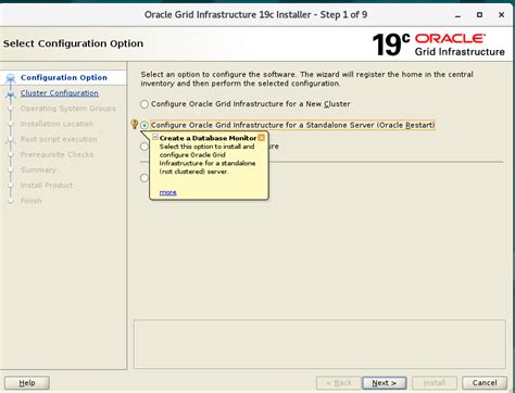 19c Oracle Database Asm Installation