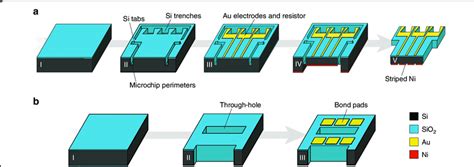 Illustration Of The Microfabrication Process Flow A Microchip