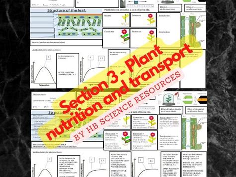 Igcse Section 3 Plant Nutrition And Transport Revision Poster Biology