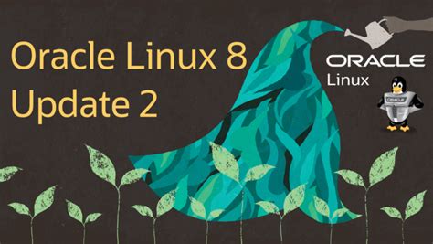 Oracle Linux 8 Zieht Mit Red Hat Basis Gleich