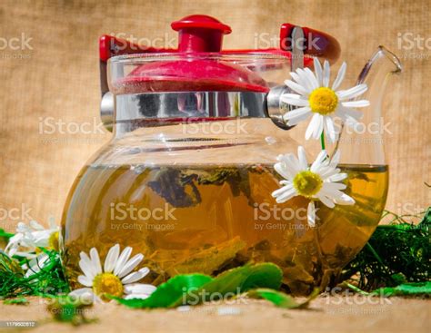 전통적인 배경에 카모마일 꽃과 뜨거운 건강 차와 카모마일 주전자 차 0명에 대한 스톡 사진 및 기타 이미지 0명 건강관리와 의술 건강한 식생활 Istock