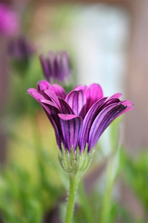 Img8563 Kim Beckmann Flickr