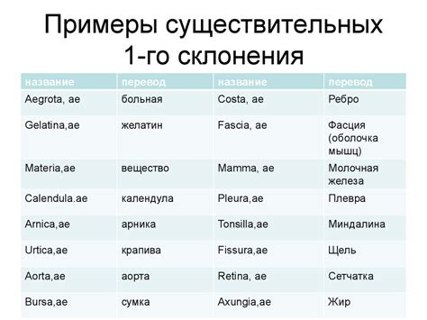 Имя существительное в латинском языке Склонения имен существительных в латинском языке Online