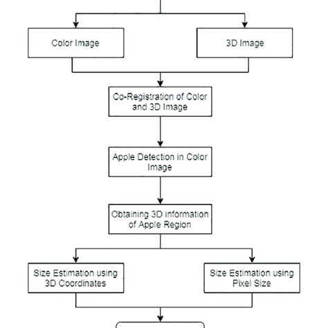 Pdf Apple Fruit Size Estimation Using A 3d Machine Vision System