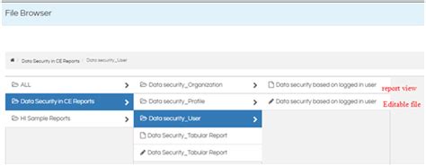 Data Security In Community Edition Reports Based On Logged In User Helical Insight