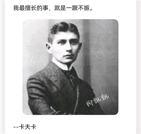 《概率论与数理统计》知识点汇总 哔哩哔哩