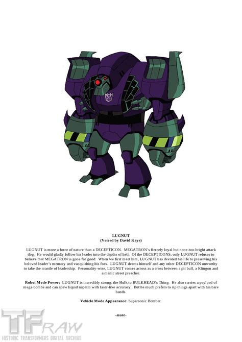 Transformers Animated Decepticon Descriptions