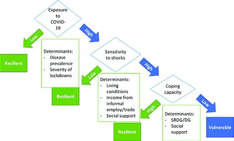 Determinants Of Vulnerability And Resilience Experienced By Tb Patients Download Scientific