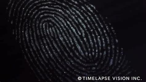 تصاویر زیبا از ایجاد اثر انگشت ترند تماشا