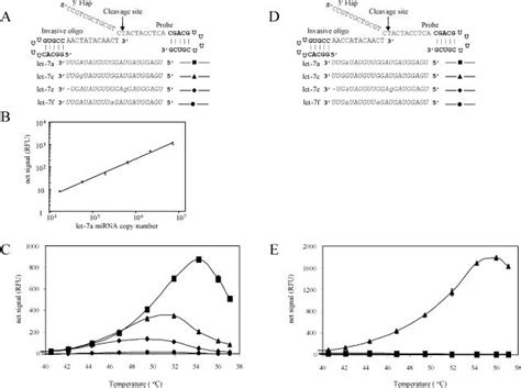 Quantitation Of Micrornas Using A Modified Invader Assay Pmc