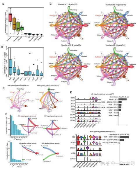 单细胞 Rna Seq 揭示了前列腺癌细胞生态系统中超强于亚克隆进化的发育层次 知乎