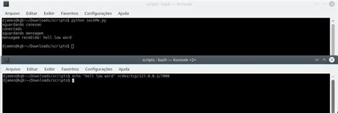 Sockets Tcp Com Shell Script