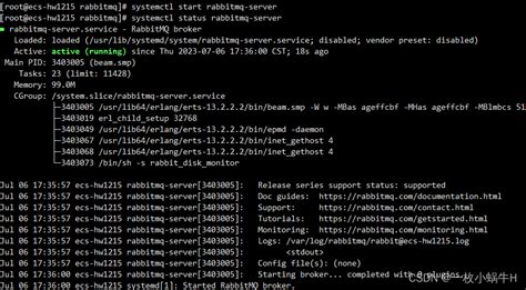 rabbitmq保姆级安装：linux centos8系统 centos8安装rabbitmq csdn博客