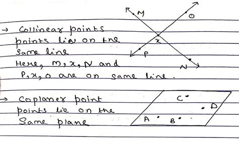 Name All The Collinear And Coplanar Points Write Gauthmath
