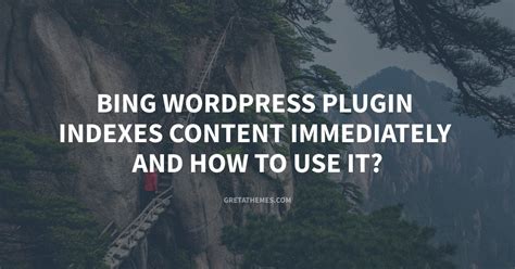 bing wordpress plugin indexes content immediately and how to use it gretathemes wp content