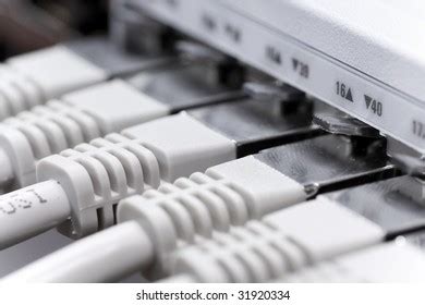Network Cables Connected Switch Stock Photo Shutterstock