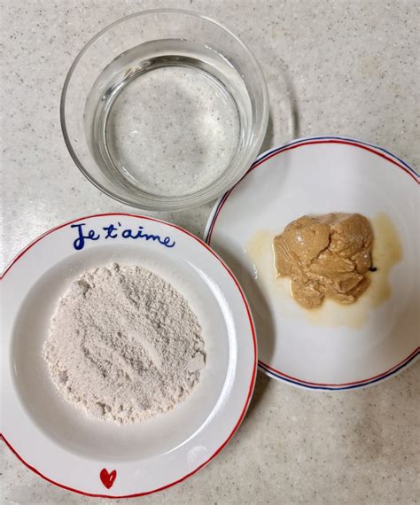 반려생활 강아지 수제간식 만들기 초간단 근사한 홈메이드 오트밀 피넛버터 팬케이크