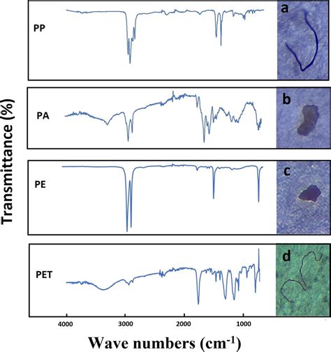 Stereomicroscope Photographs And Ftir Spectrums Of Microplastics In The Download Scientific