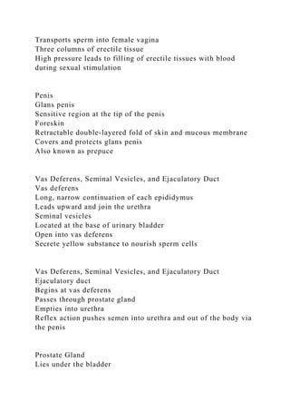 Reproductive SystemsChapter 14Related Combining FormsStr Docx