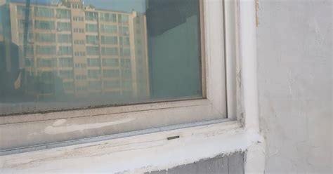 사장님 꼼꼼하게 잘해주셨어요 시공전 후 사진 많이 찍어서 보내주시고 후회 없는 선택인거같아요~ 감사합니다 주변에 소문내야겠습니다~ 숨고 숨은고수