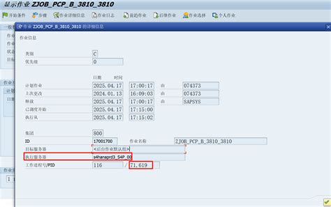 sap 查找job进程id并调试活动中的job sap job csdn博客