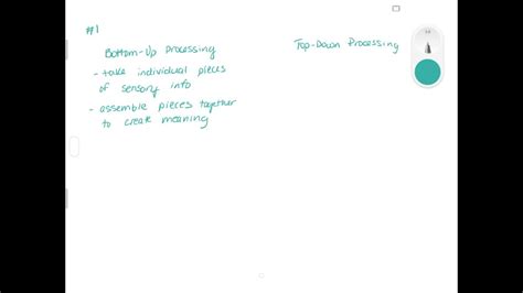 Solved The Types Of Processing In Perception Is Conceptually Driven