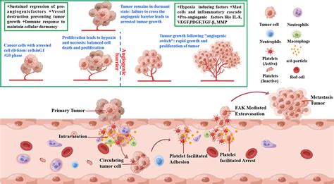 The Progress Of Platelets In Breast Cancer Cmar