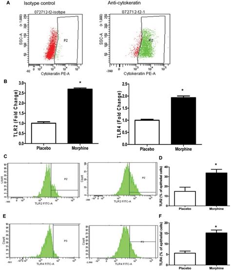 A Isolated Cells Were Fixed Using Ebioscience Fixation And Download Scientific Diagram