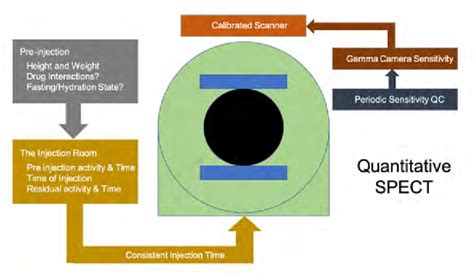 Operational Steps Required To Perform Quantitative Spect Download Scientific Diagram