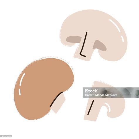 생 샴 피뇽 버섯 전체 및 반 분리 된 야채 식품 맛있는 채식 음식 식물 그림입니다 3차원 형태에 대한 스톡 벡터 아트 및 기타 이미지 3차원 형태 4가지 개체